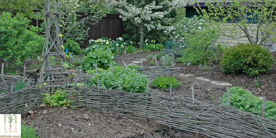 5 Ways to Recycle Yard Waste | Milorganite
