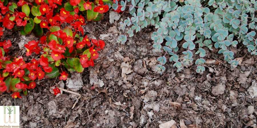 5 Ways to Recycle Yard Waste | Milorganite